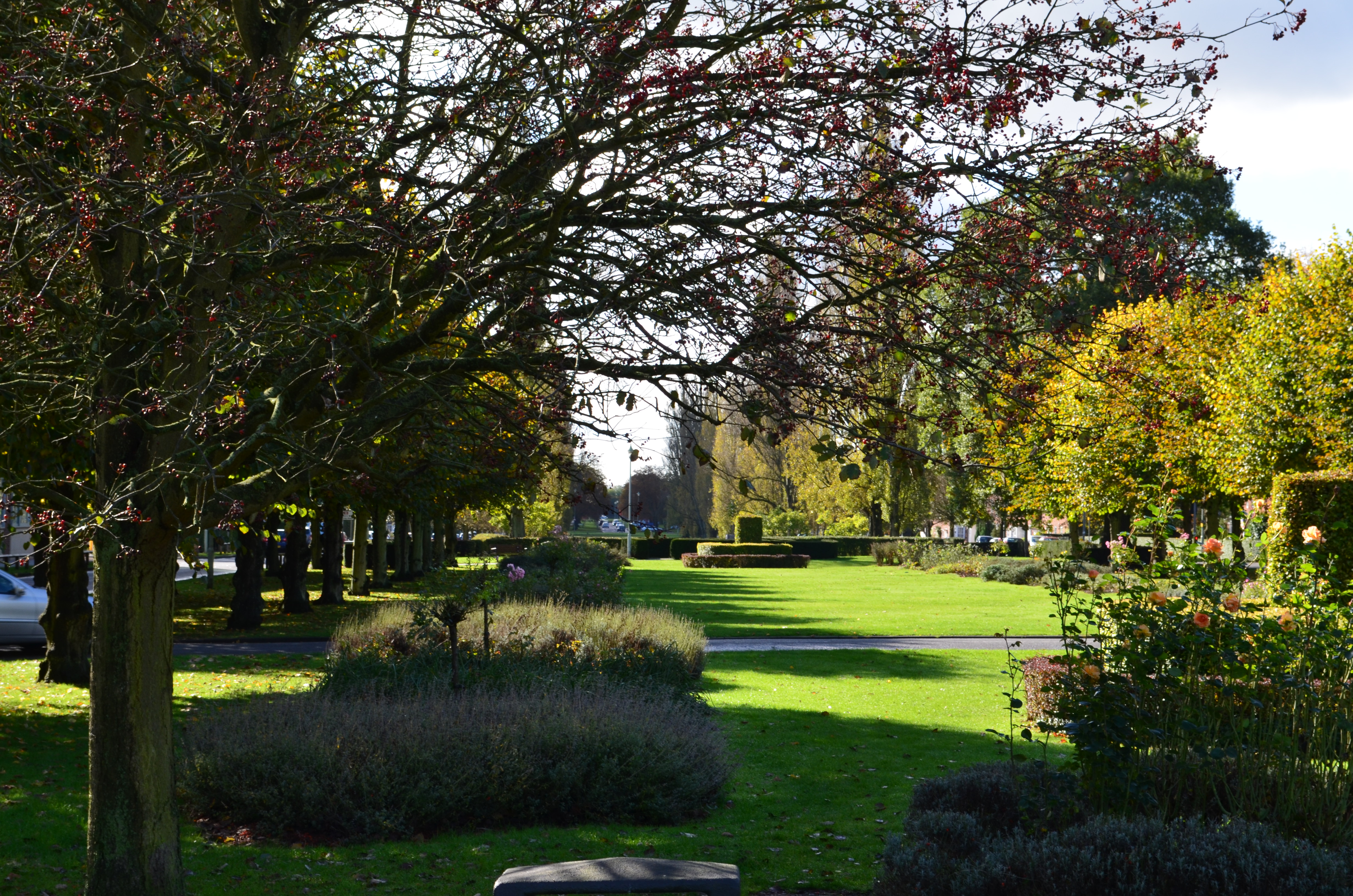 David Martin - Solicitors in Welwyn Garden City - Crane & Staples